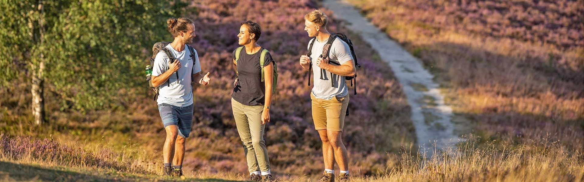 Wandern in der Südheide