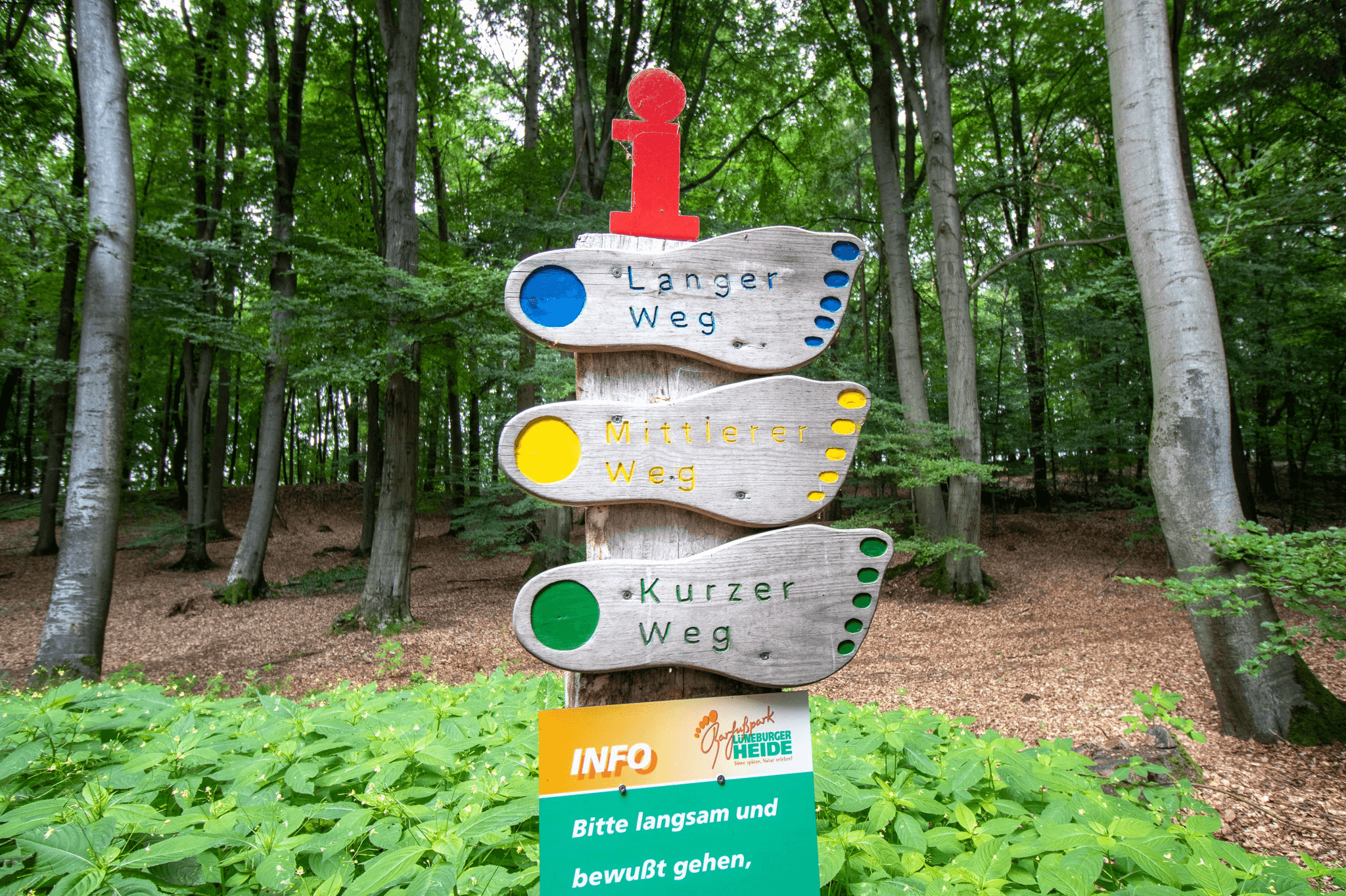 Egestorf Barfu park L neburger Heide egestorf-barfu-park-l-neburger-heide